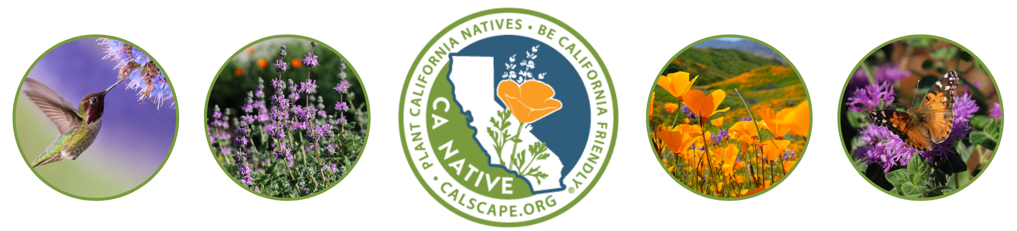 Calscape Nursery Program - Moulton Niguel Water District
